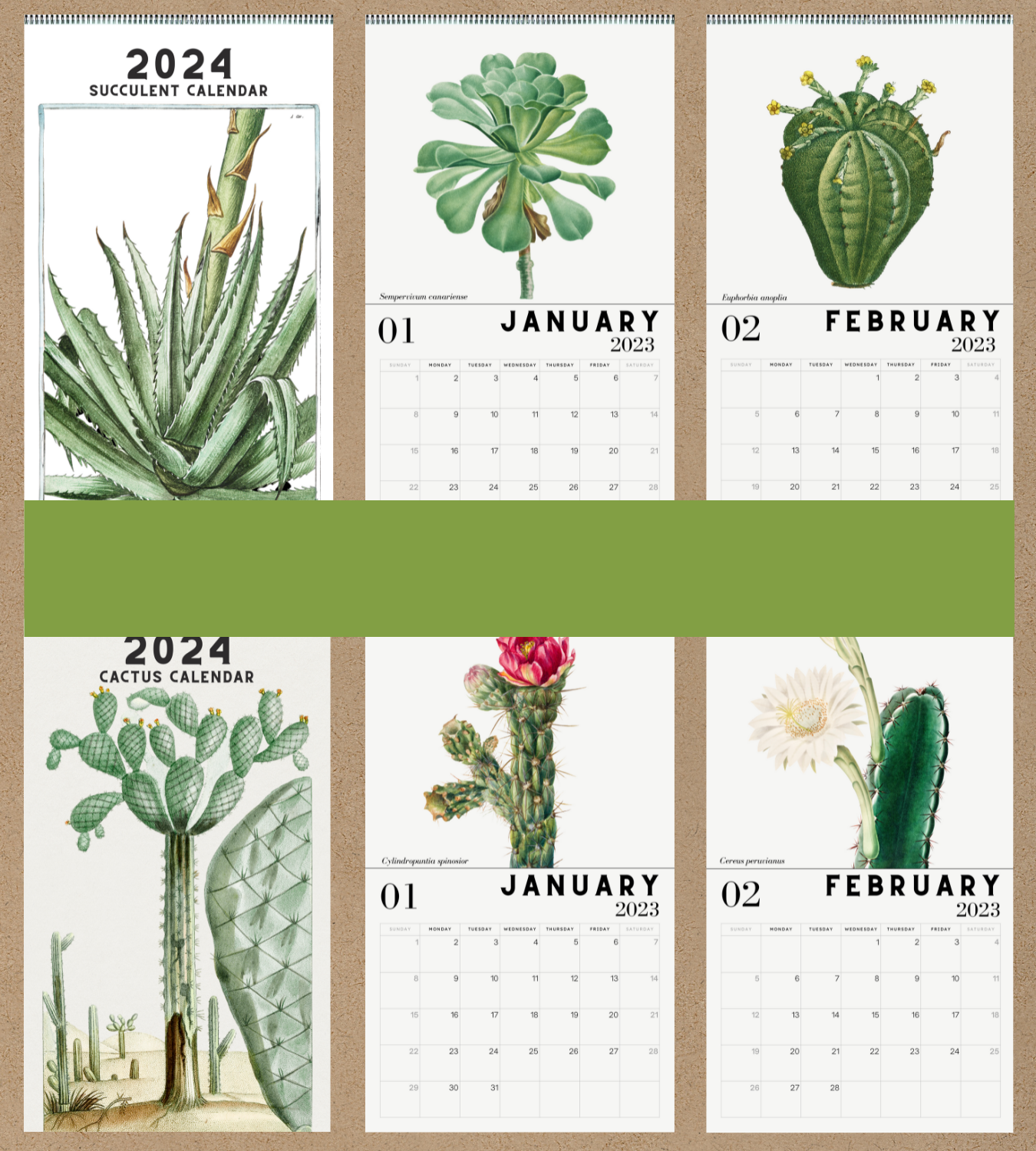 Merchandise | Cacti, Succulents and more – Planet Desert