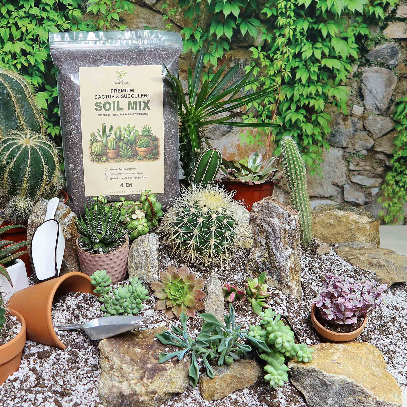 Shop 'Cactus and Succulent Soil Mix' For Sale | Planet Desert