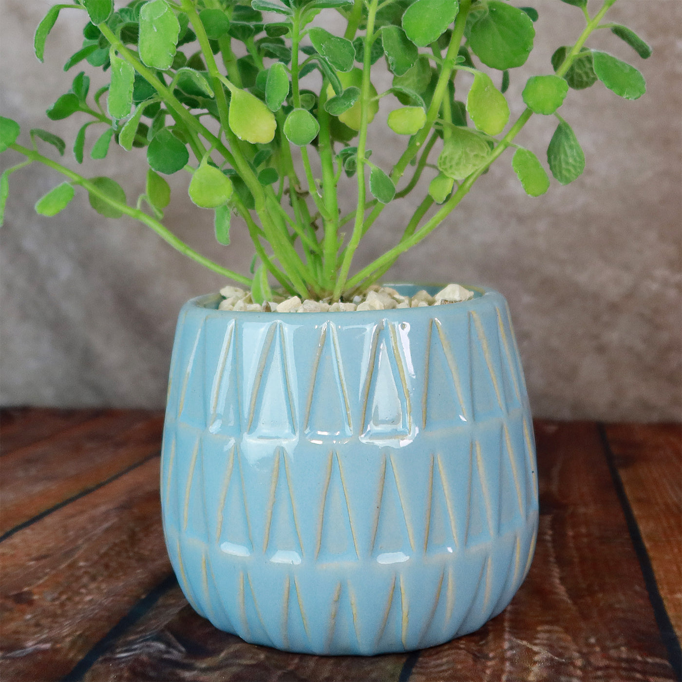 Triangular Print Reactive Glazed Pot – Planet Desert