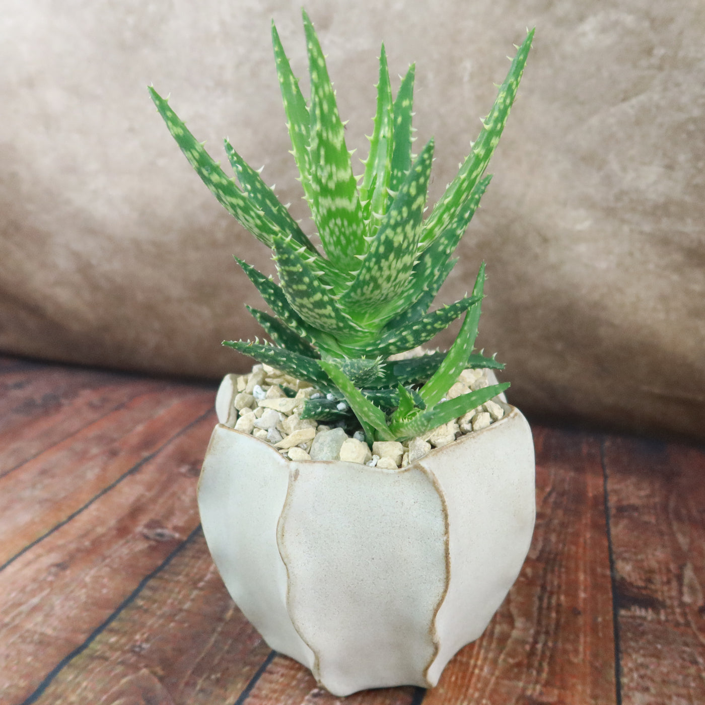 Unique Decorative Pot – Planet Desert